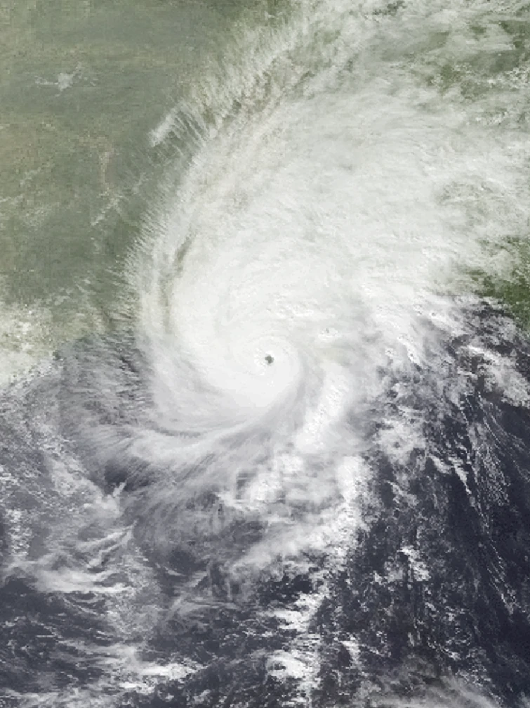 I need people to help me with Hurricane James. | Fandom
