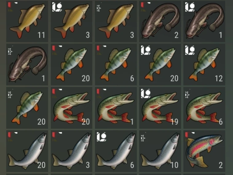 Buggy fish Rankings? | Fandom