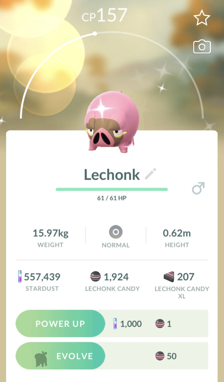 Lechonk Spotlight hour 🐷 | Fandom