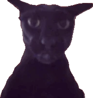 watch out for larry | Fandom