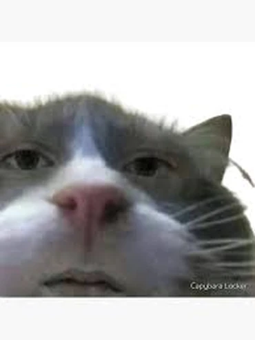 are you watching bfn when its out? | Fandom