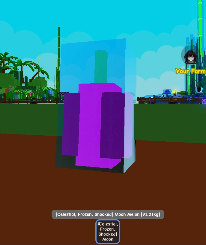 91.01kg moon melon | Fandom