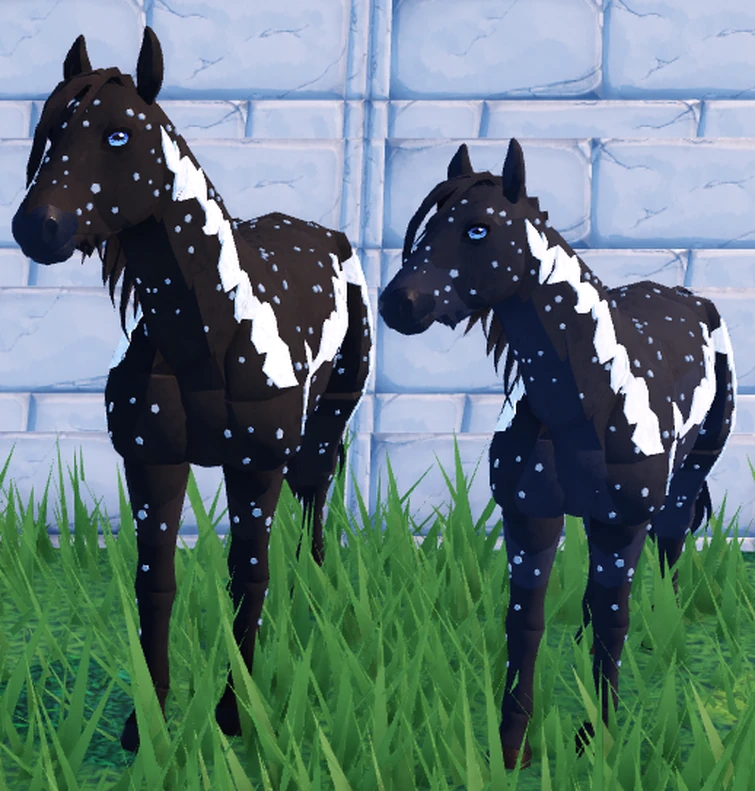Discuss Everything About Horse Life Wiki | Fandom