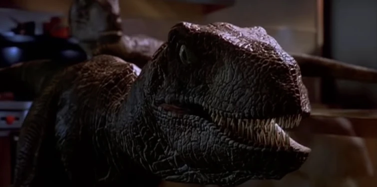 Stats Day 2:Velociraptor | Fandom