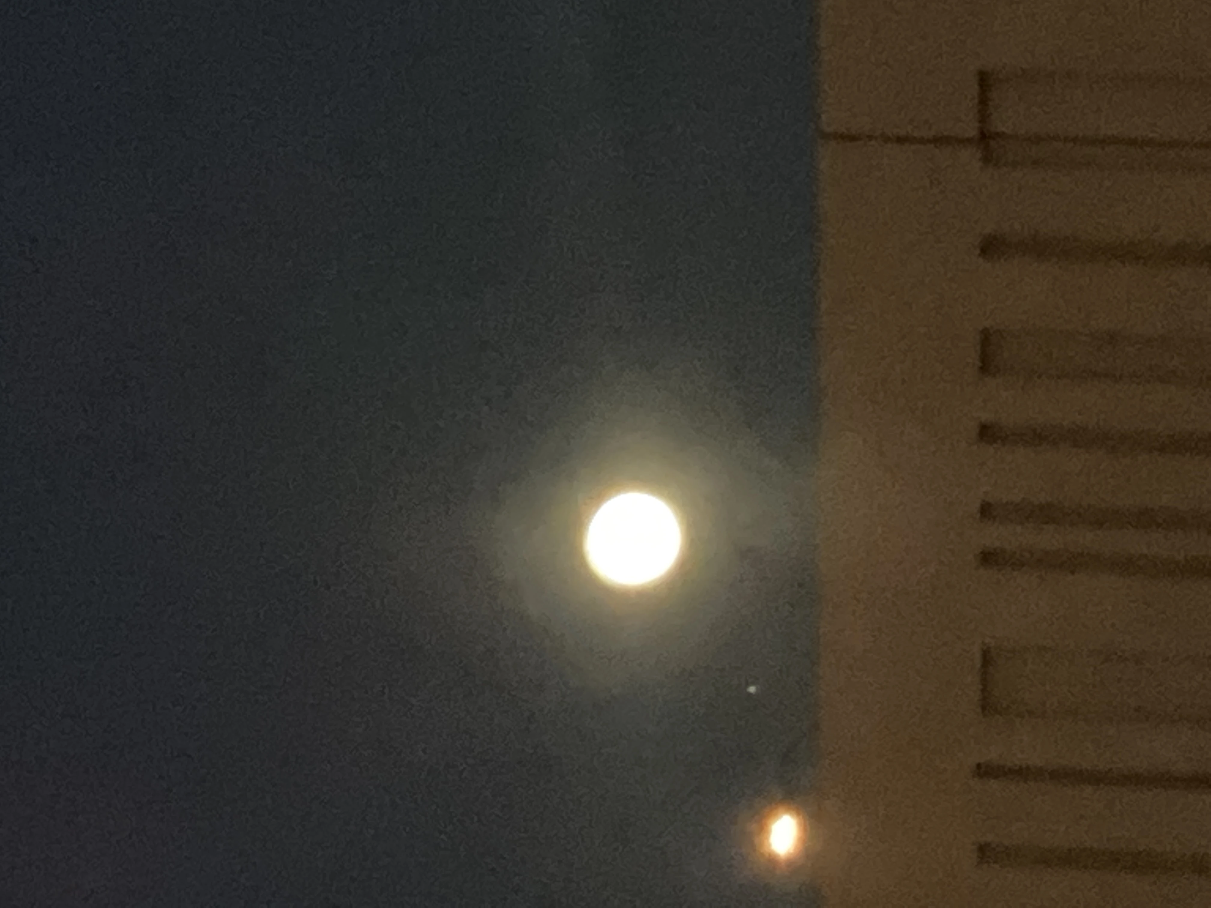 the moon says hello | Fandom