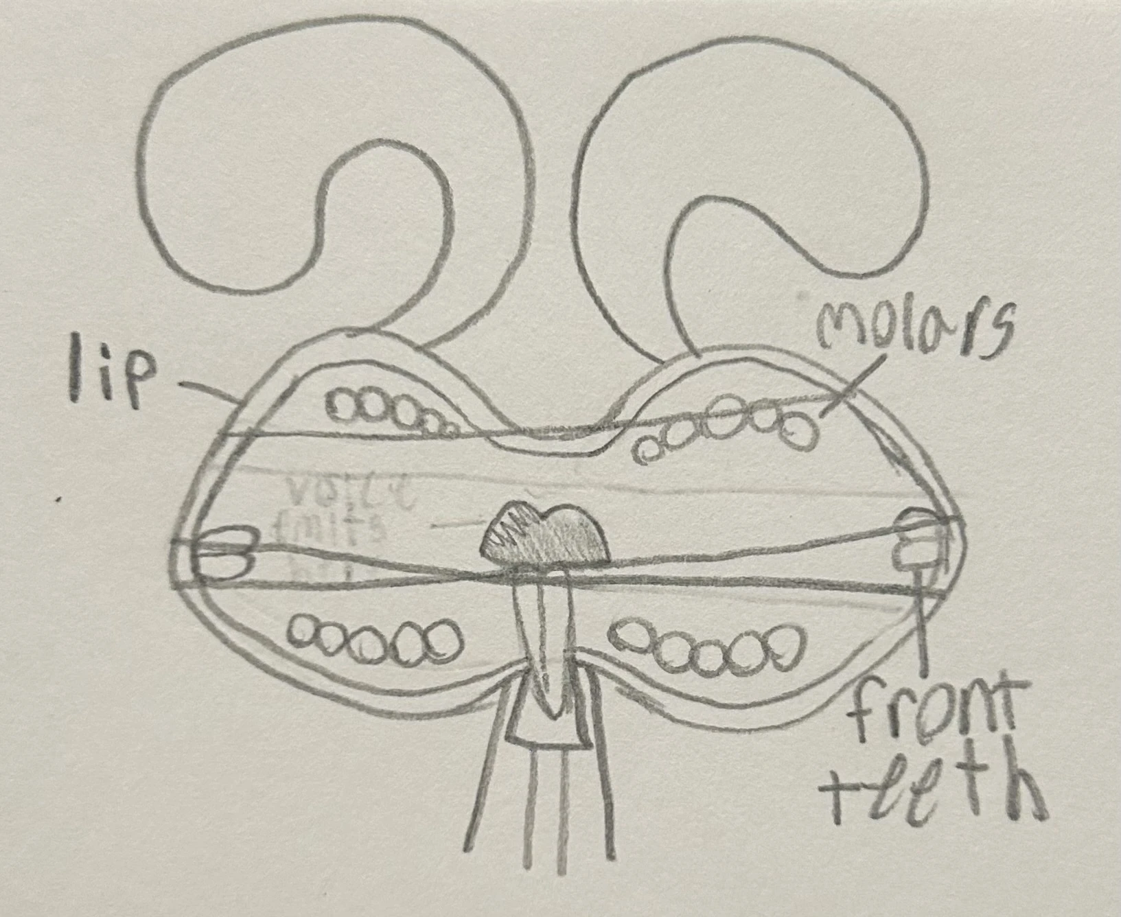 (Gaslight District OC) Grubs Sketches | Fandom