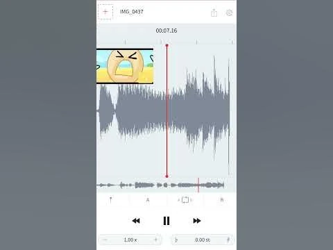 What is this | Fandom