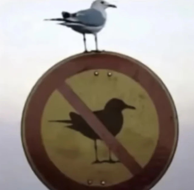 Insert funny title here | Fandom