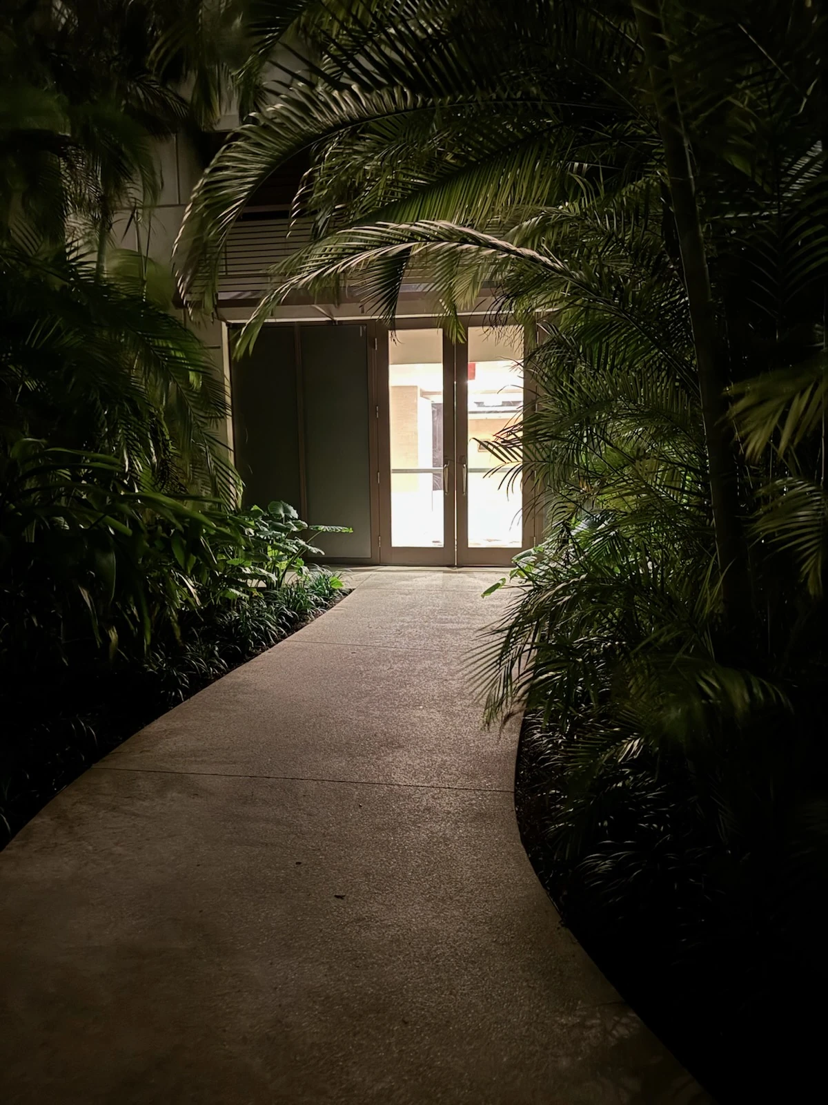 IDEA DUMP BECAUSE IM OFF BREAK | Fandom