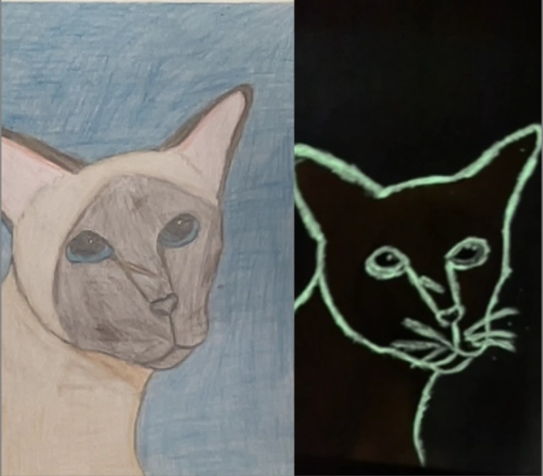 Glow in the dark siamese cat colored pencil drawing by me!! | Fandom