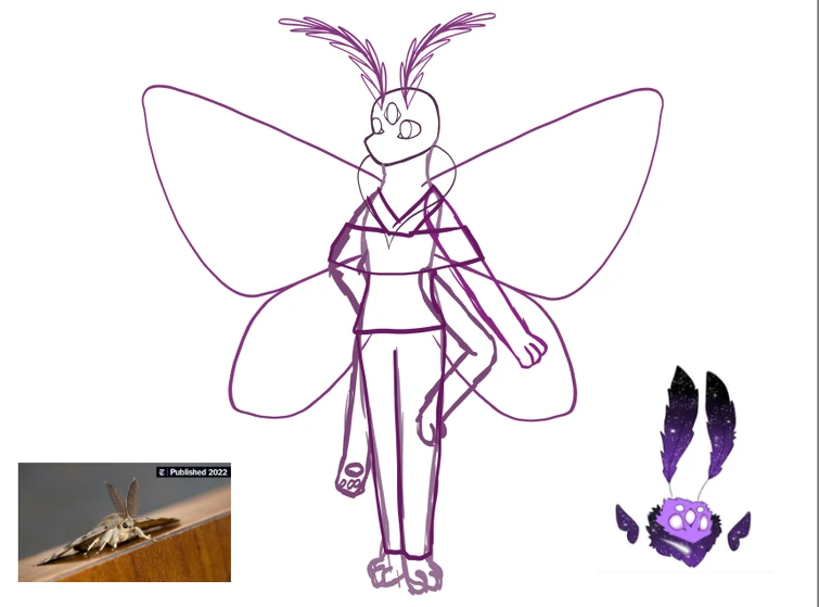 WIP! (Warnings: Moth, multiple eyes) | Fandom