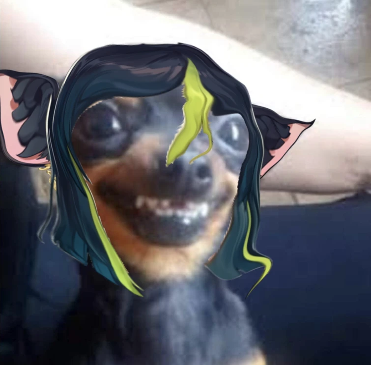 Hey sisters | Fandom