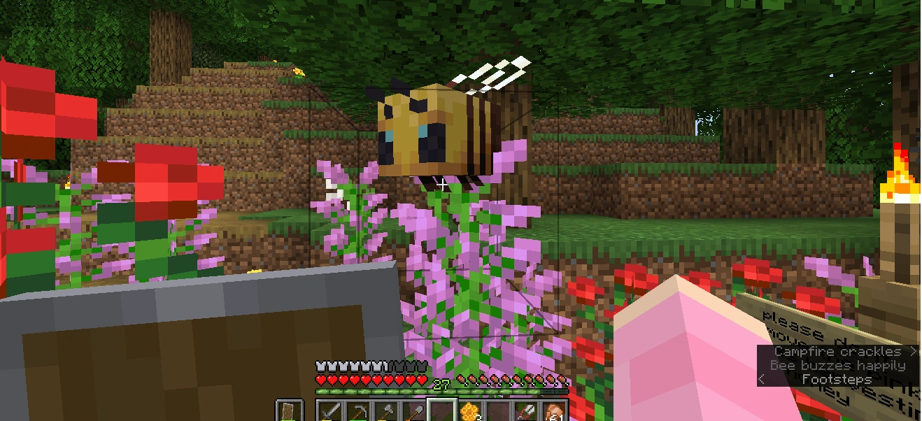 LOOK AT THE SKRUNKLY | Fandom