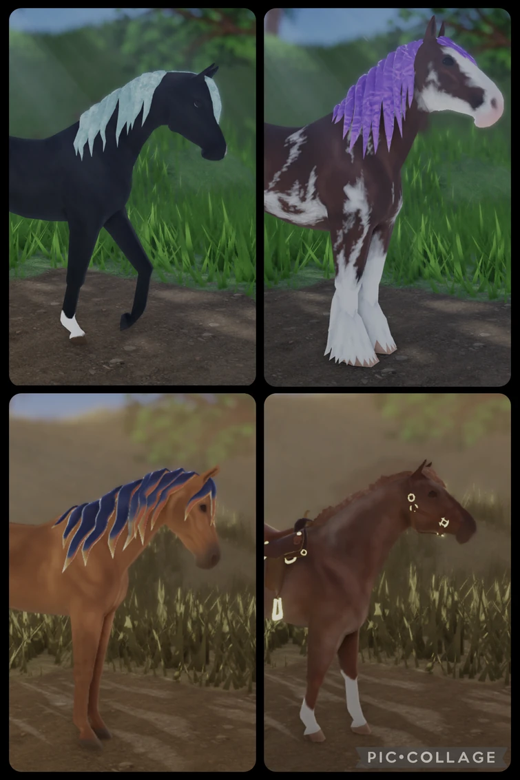 WFL URGENT..! HELP HELP | Fandom