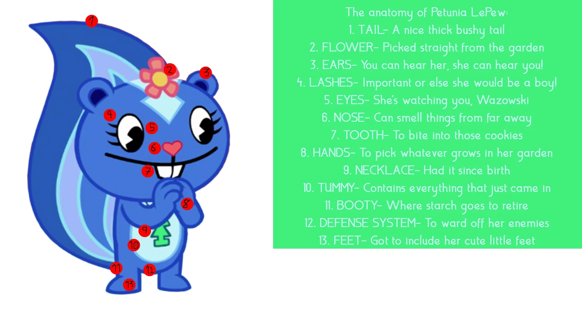 Petunia's anatomy | Fandom