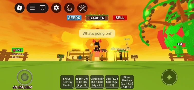 Sun god event | Fandom