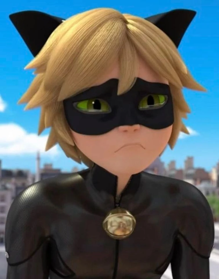 Chat noir smiling to brighten up your day | Fandom