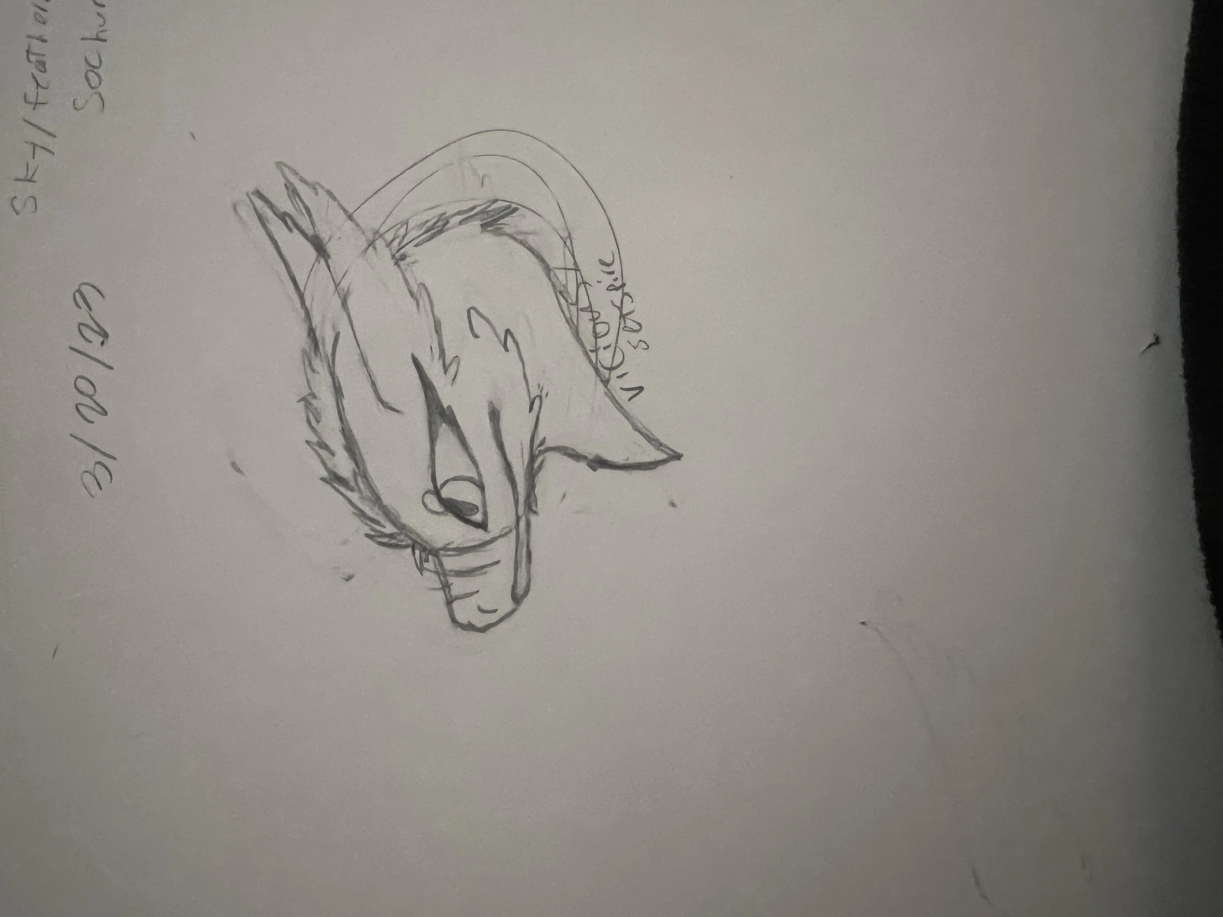 Say hello to my new feathered sky sochuri; + some random soch sketches ...