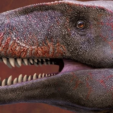Discuss Everything About Dinopedia | Fandom