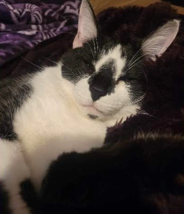 repost on when I got parasol | Fandom