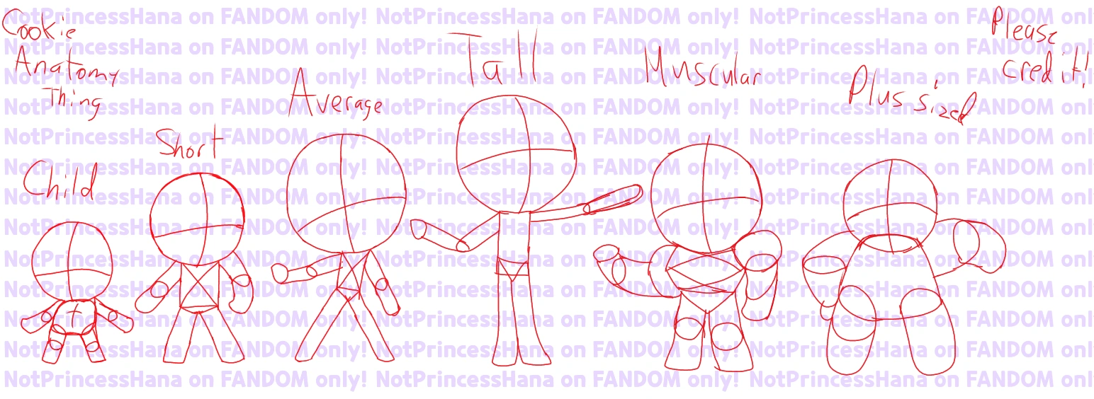 Cookie anatomy chart thing | Fandom