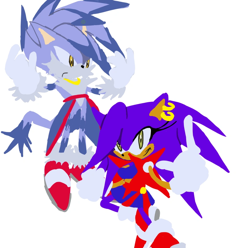 genderbend Sonic Rush | Fandom