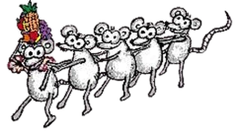 Thank you for participating!!! | Fandom