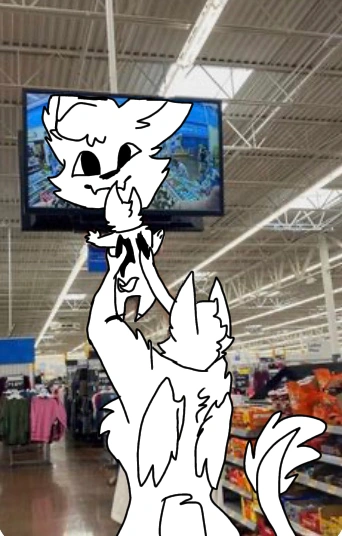 Good morning | Fandom