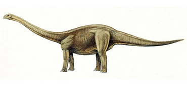 Discuss Everything About Dinopedia | Fandom