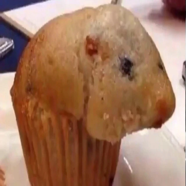 you have been greeted by the hampter muffin | Fandom