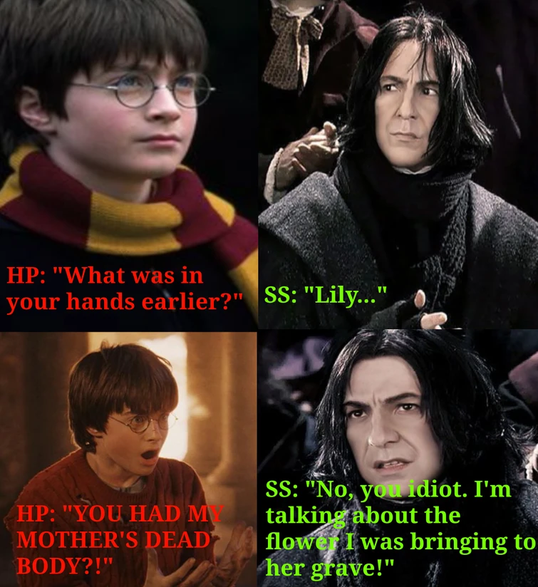 A couple of HP memes I decided to do bc why the fudge not? | Fandom