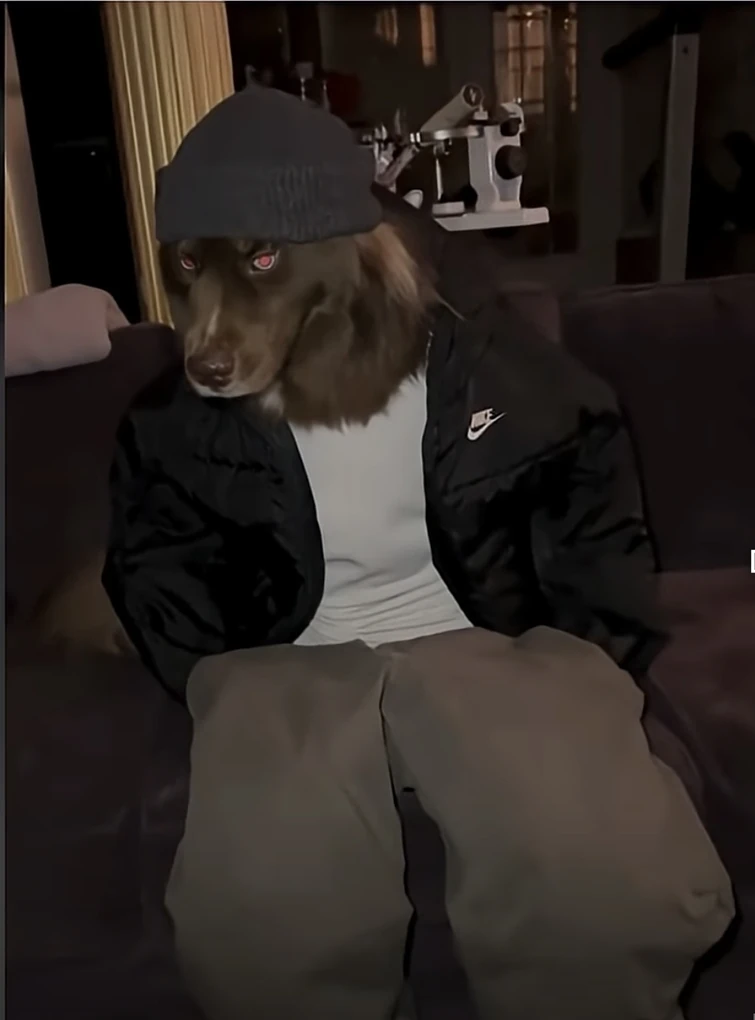 I feel so sigma | Fandom