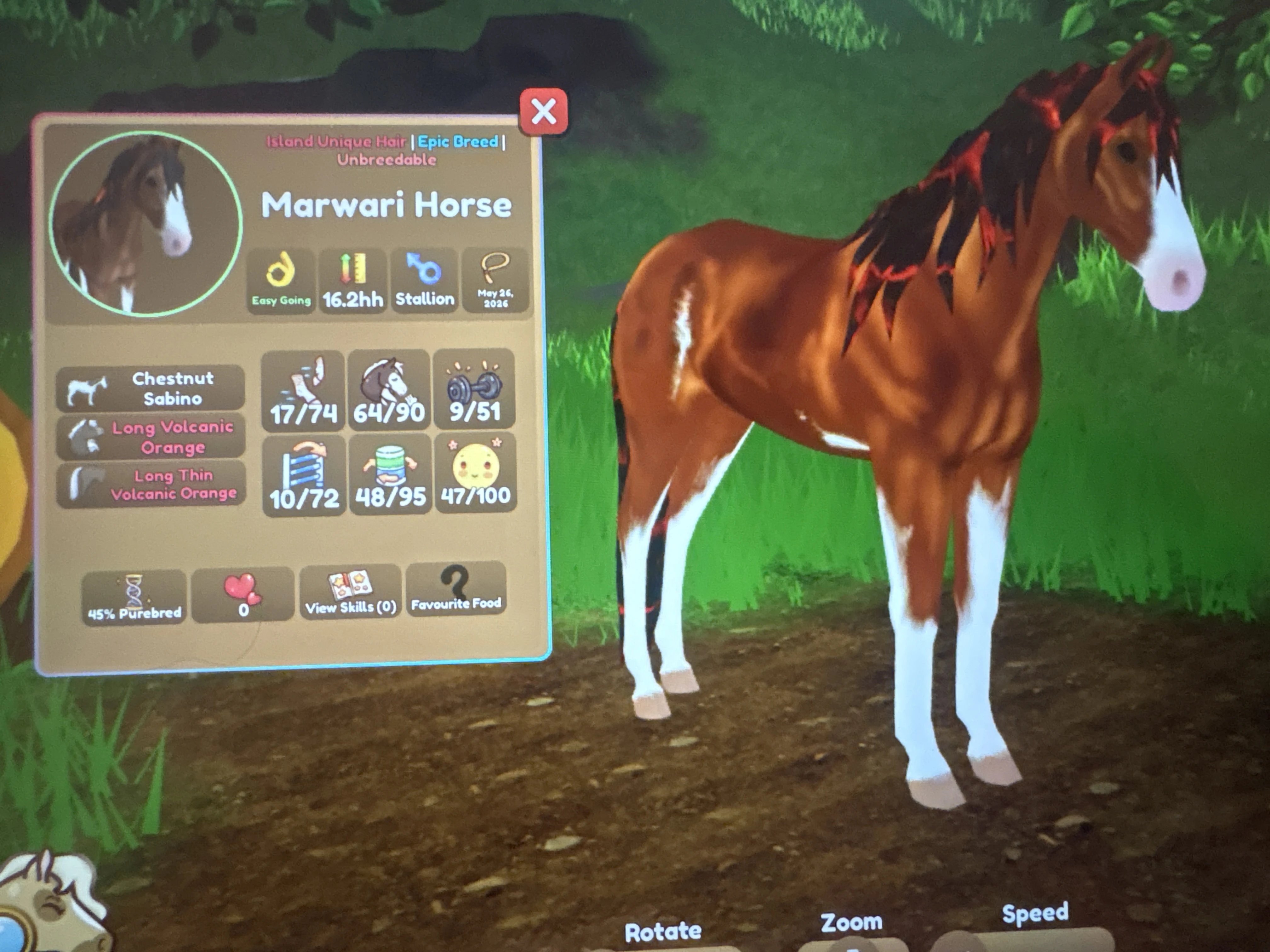 I caught another IUH horsey! :D | Fandom
