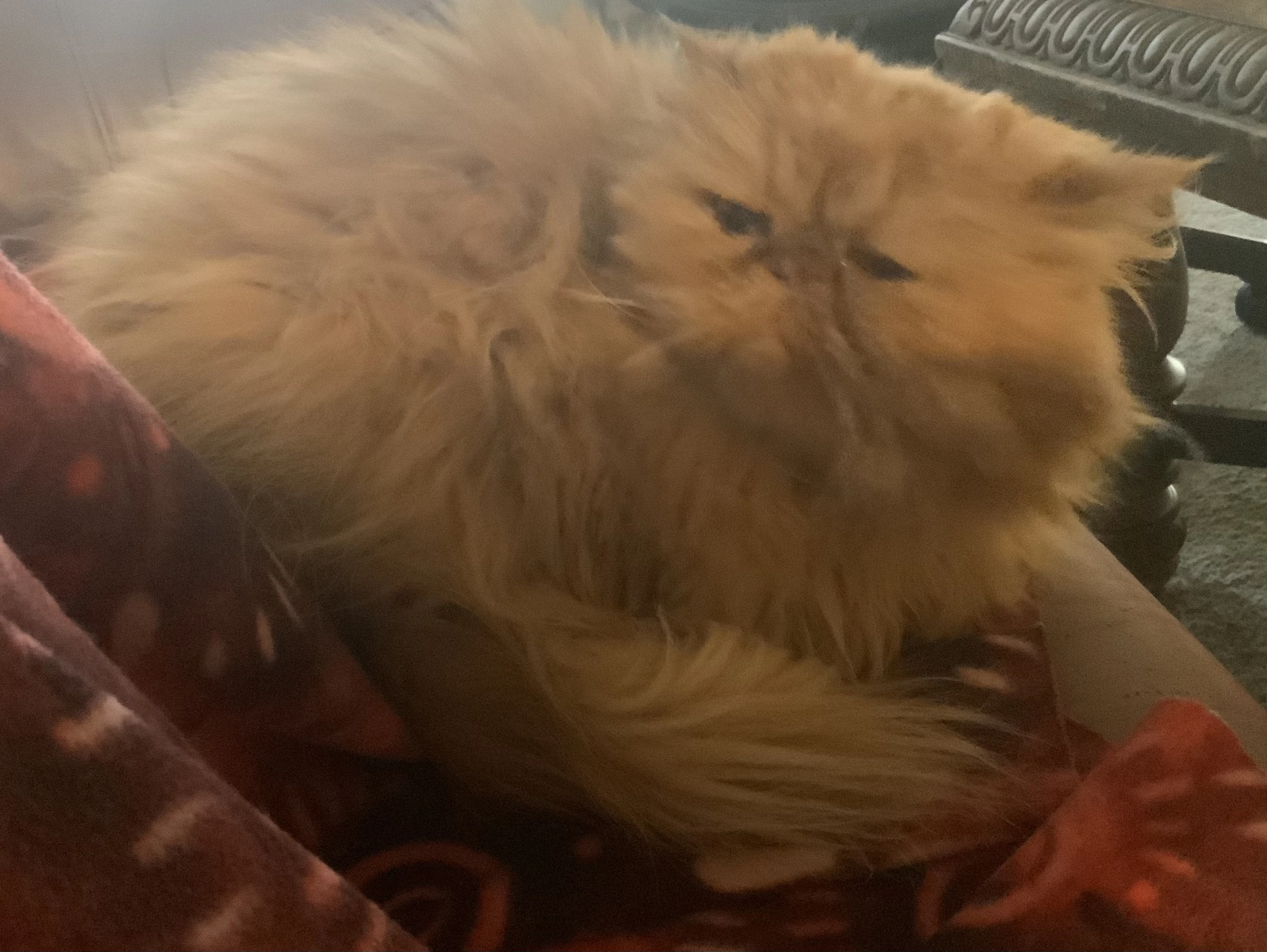 George boy looking so sad | Fandom