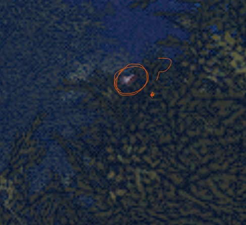 Possible NPC sighting? Is it new or not? | Fandom