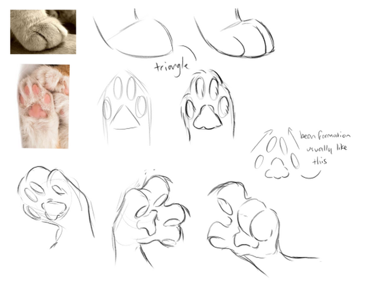 So uh I need to get better at drawing paws so I did this | Fandom