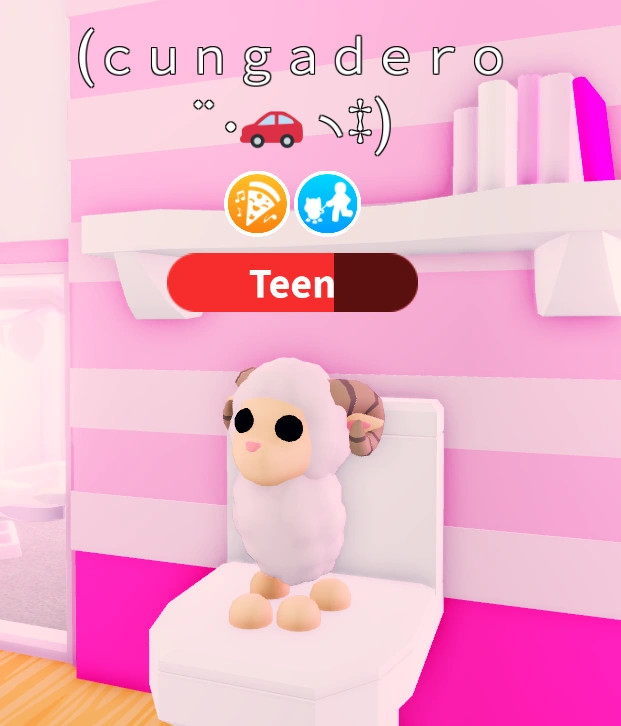 Named my pet cungadero | Fandom