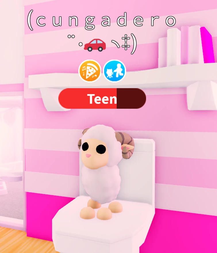 Named my pet cungadero | Fandom