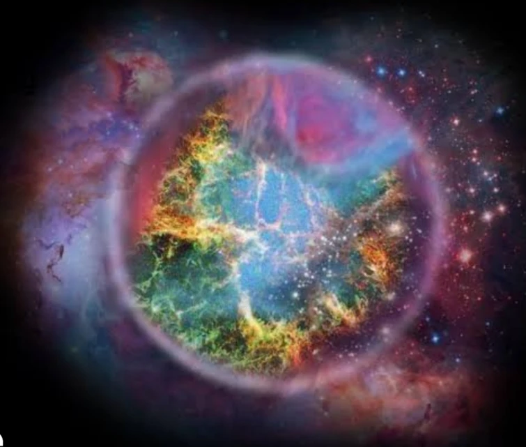 Wekaverse 9th | Fandom