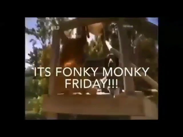 Happy late funky monkey friday | Fandom