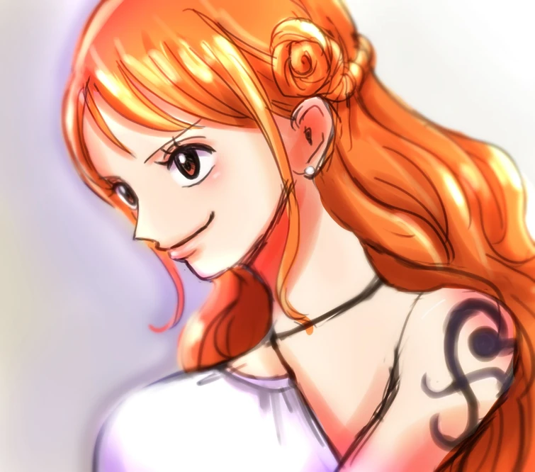 Who should face off against Nami The Cat Bulger of the Straw Hat ...