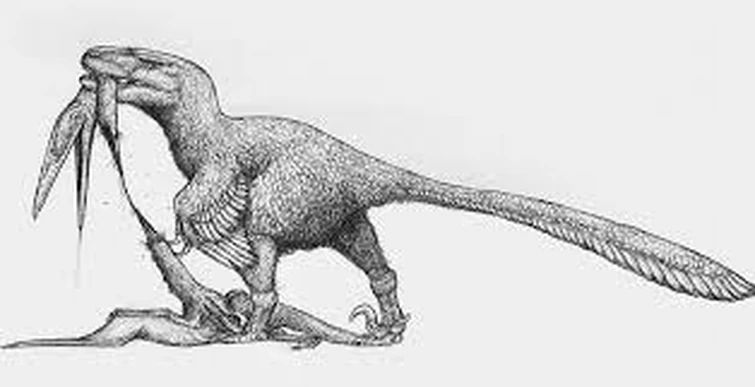 Forget Maip, Pycnonemosaurus, Troodon, and Utahraptor. What if these ...
