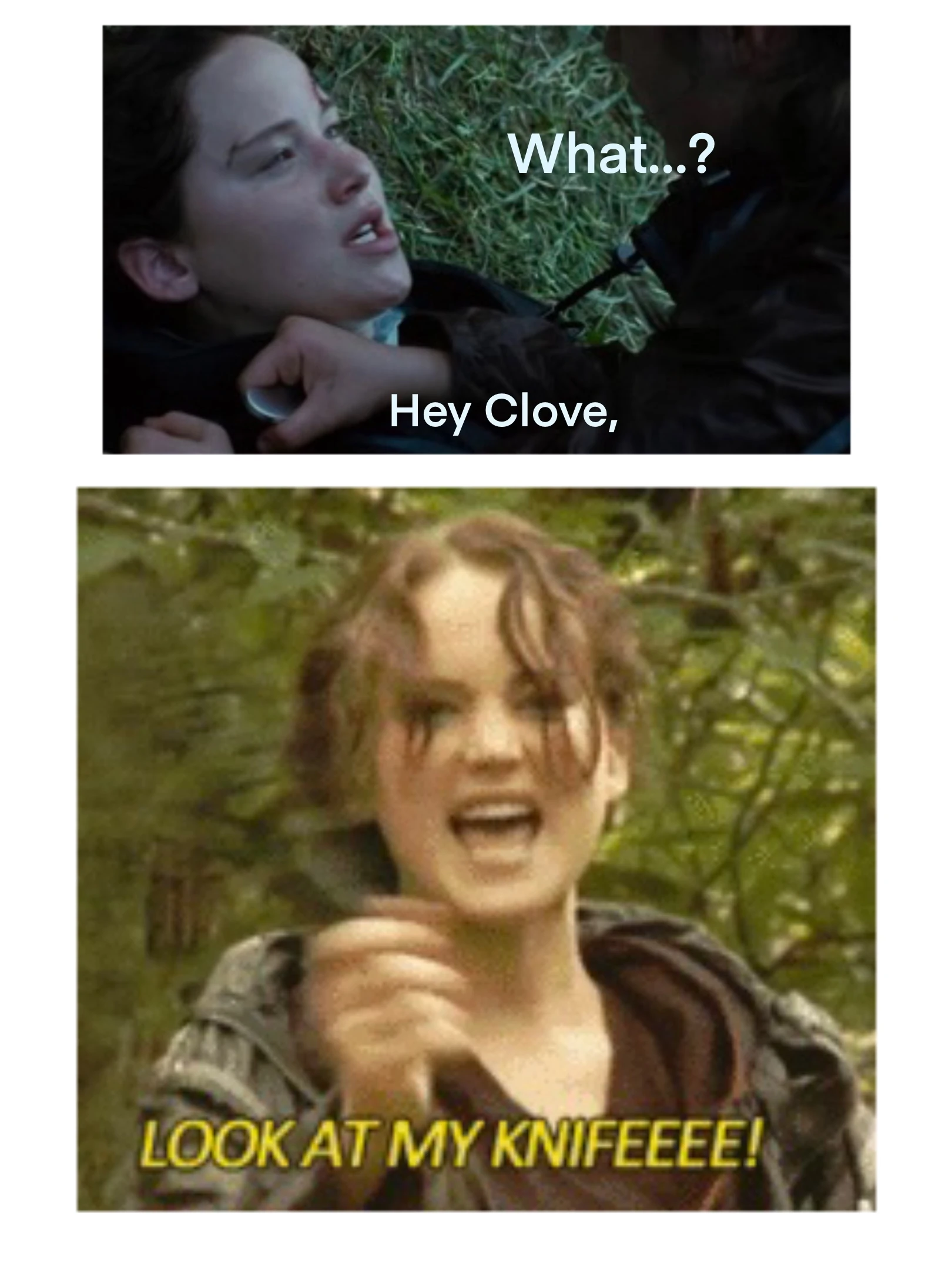 POV: Katniss Steals Clove's Knife (MEME) | Fandom