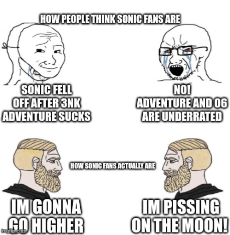 2 sonic memes | Fandom