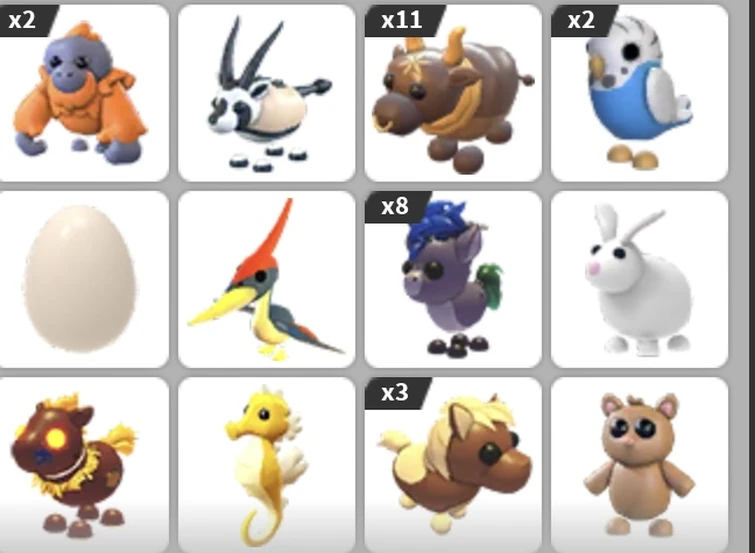 Discuss Everything About Adopt Me! Wiki | Fandom