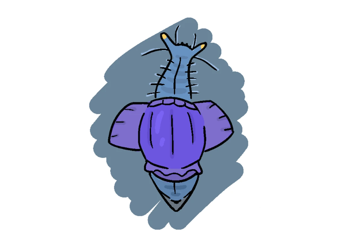 Sototh | 4CHAN SPEC EVO PROJECT Wiki | Fandom