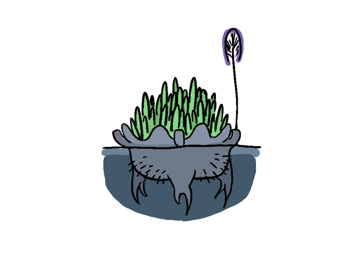 Earth Pillar | 4CHAN SPEC EVO PROJECT Wiki | Fandom