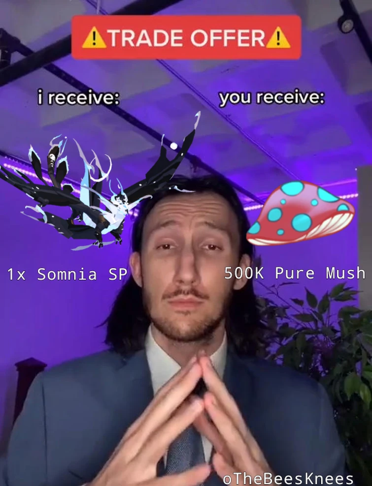 Looking for a Somnia SP! | Fandom