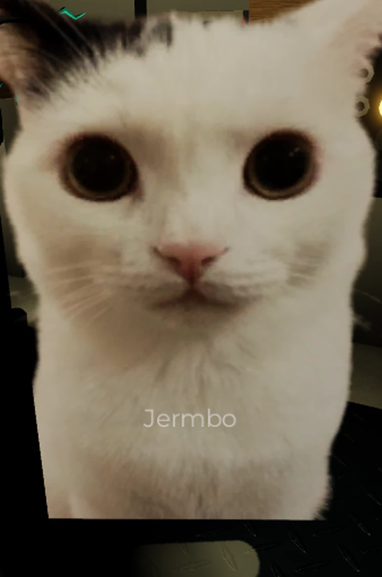 WAIT. WAIT WAIT WAIT. | Fandom