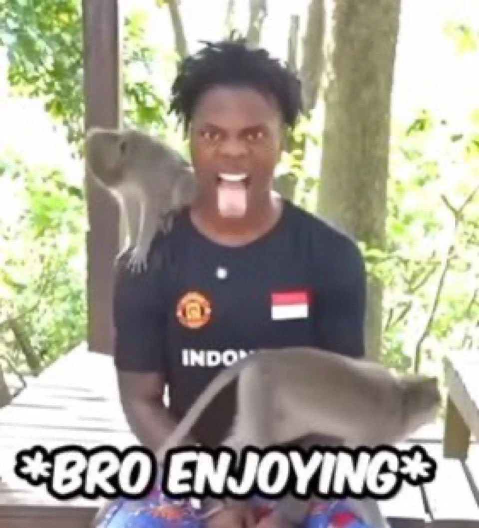 Dandys world players when a dog starts chasing them (theyre distracting ...